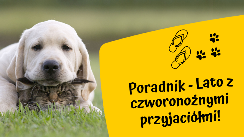 JOSERA Sklep z Karmami dla Twojego Psa i Kota